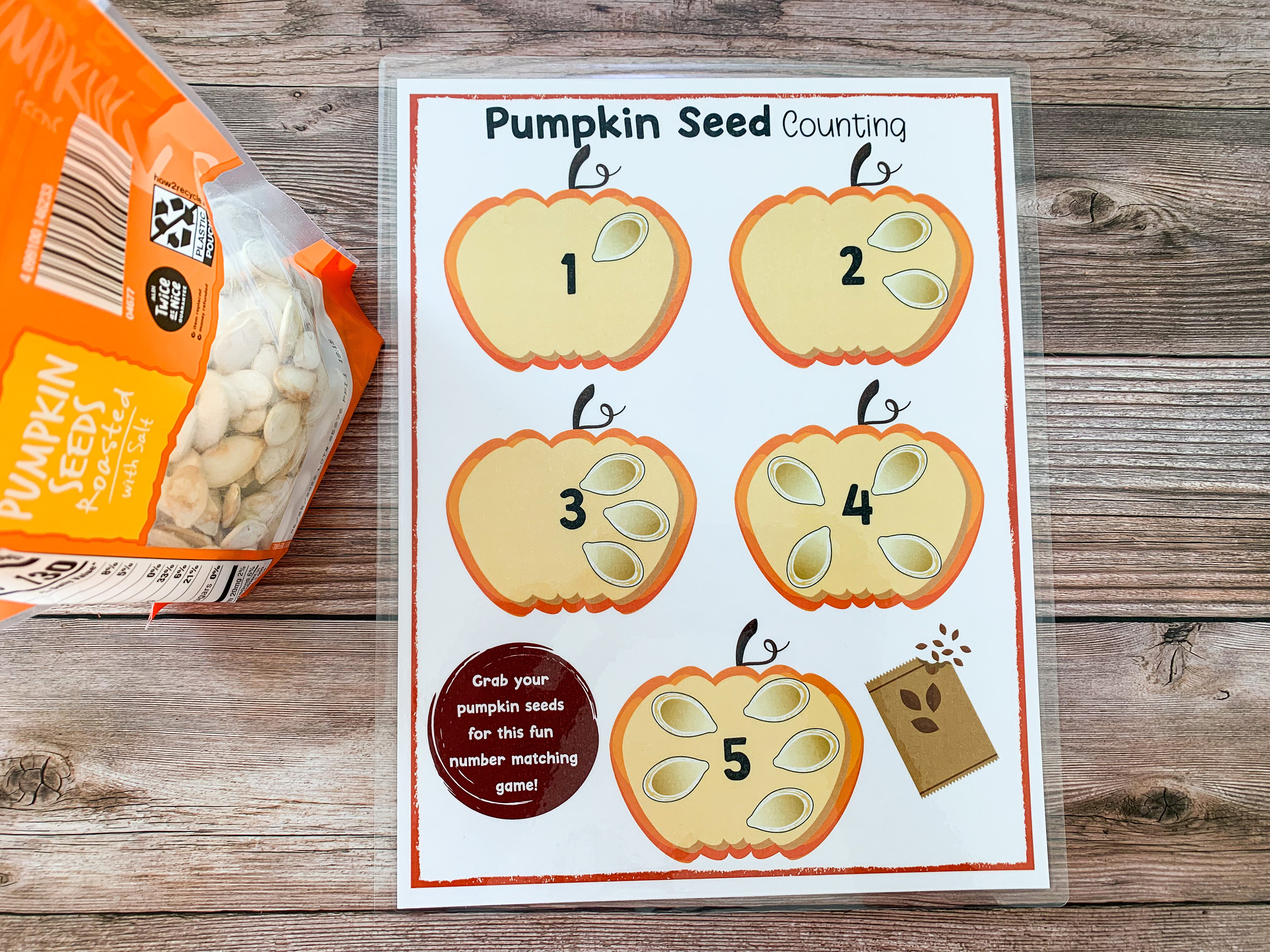 Kids Fall Activity Homeschool Printable Pumpkin Seed - Etsy