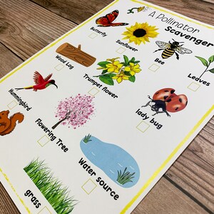 Spring Scavenger Hunt, Pollinator Scavenger Hunt, Scavenger Hunt ...