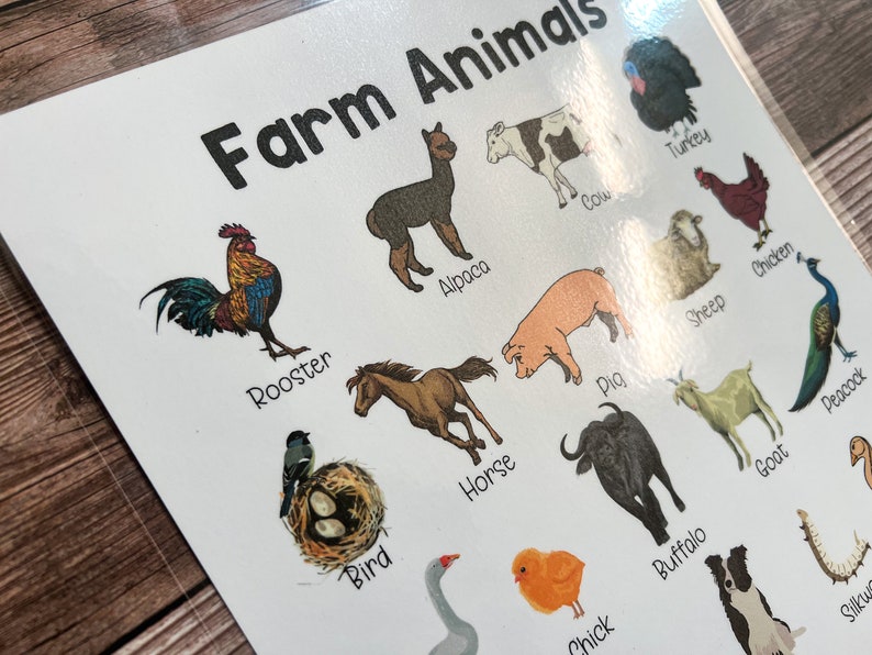 Animales de Granja, Preescolar, Educación en Casa Imprimible, Animales ...