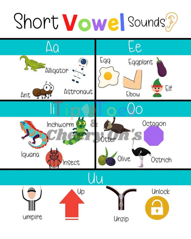 Short Vowel Sounds, Vowel Chart, Educational Poster, Short Vowel Words ...