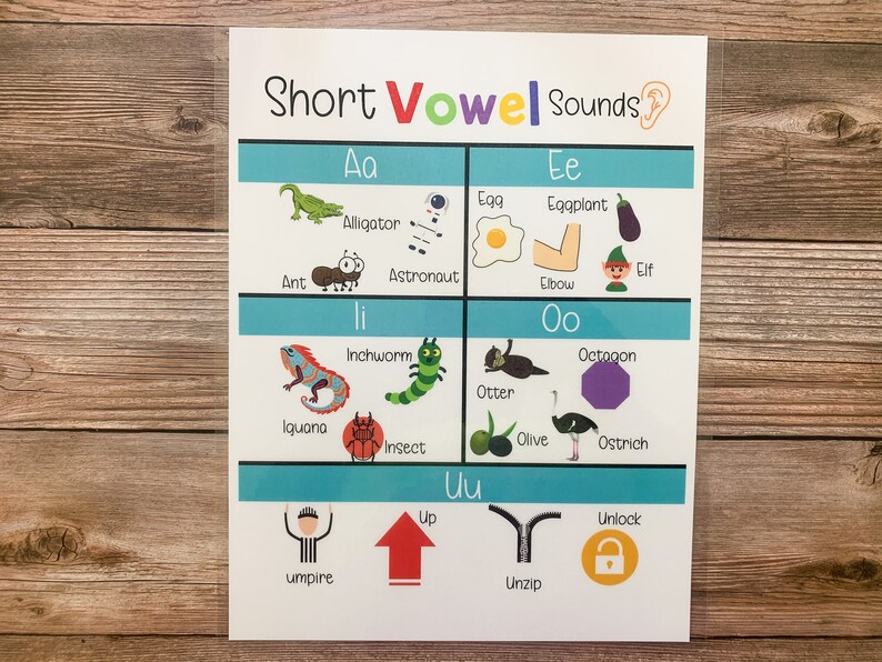 Short Vowel Sounds, Vowel Chart, Educational Poster, Short Vowel Words ...