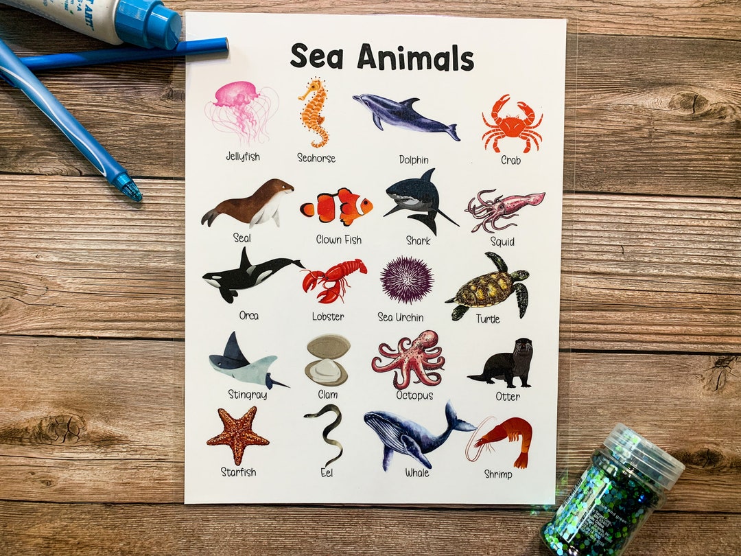 Sea Animals, Classroom Decor, Science, Homeschool Printable, Montessori ...