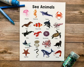 Ocean Science Poster - Etsy