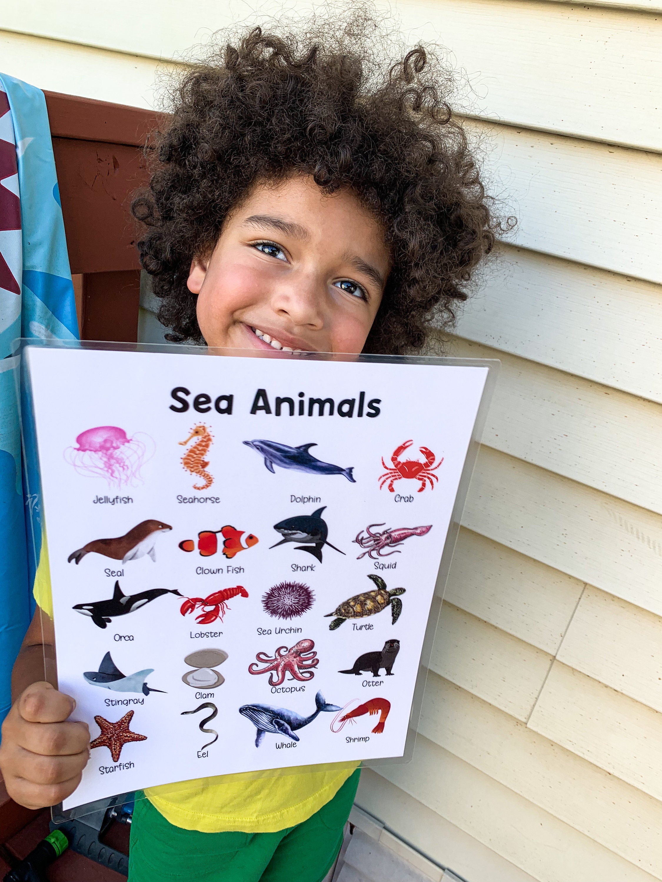 Sea Animals, Classroom Decor, Science, Homeschool Printable, Montessori ...