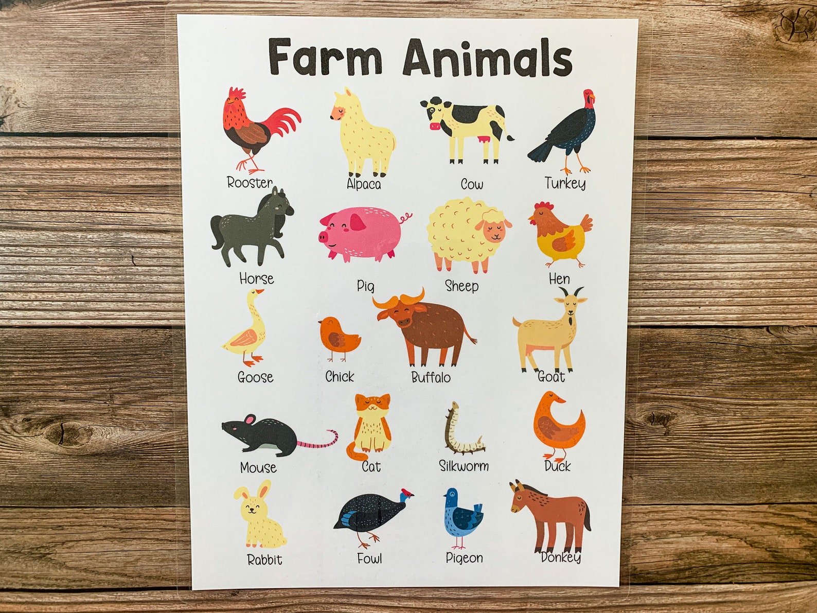 Farm Animals Poster Preschool Homeschool Animals on the | Etsy