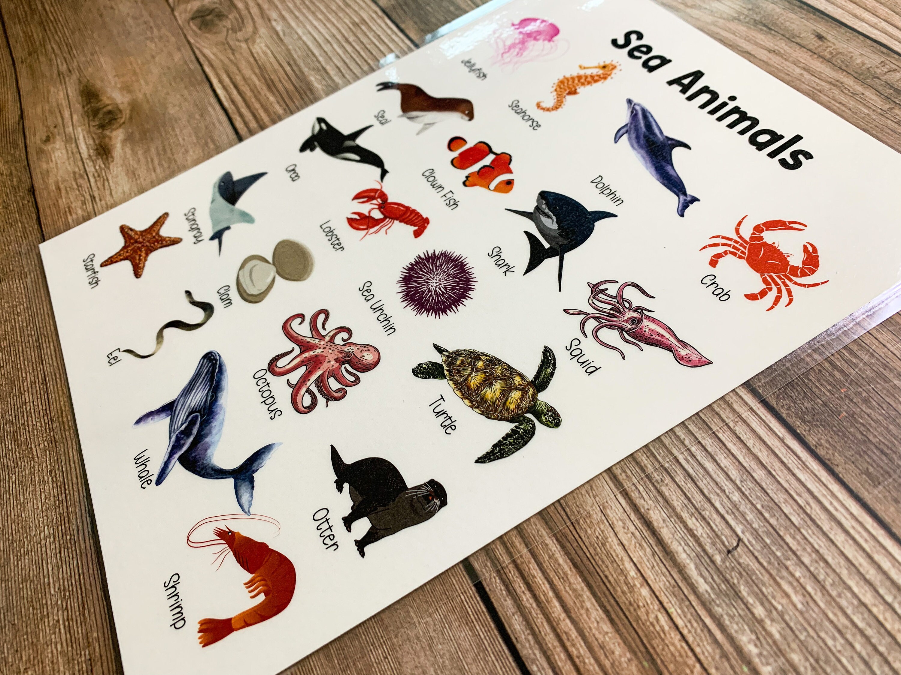 Sea Animals, Classroom Decor, Science, Homeschool Printable, Montessori ...