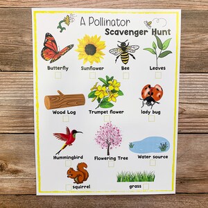 Spring Scavenger Hunt, Pollinator Scavenger Hunt, Scavenger Hunt ...
