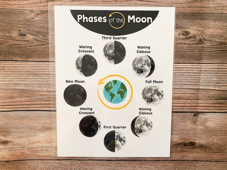 Moon Phase Educational Poster, Outer Space, Science, Moon Phases ...