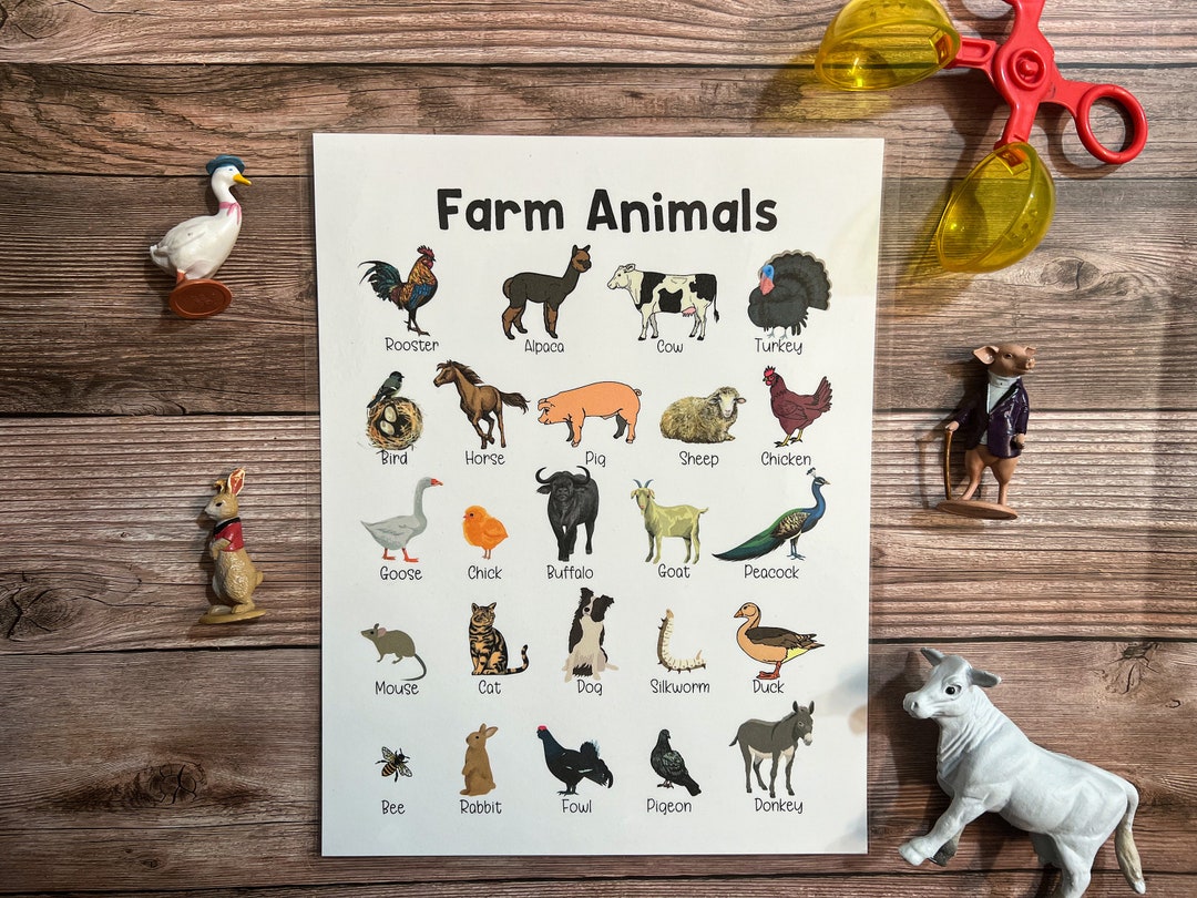 Farm Animals, Preschool, Homeschool Printable, Animals on the Farm ...