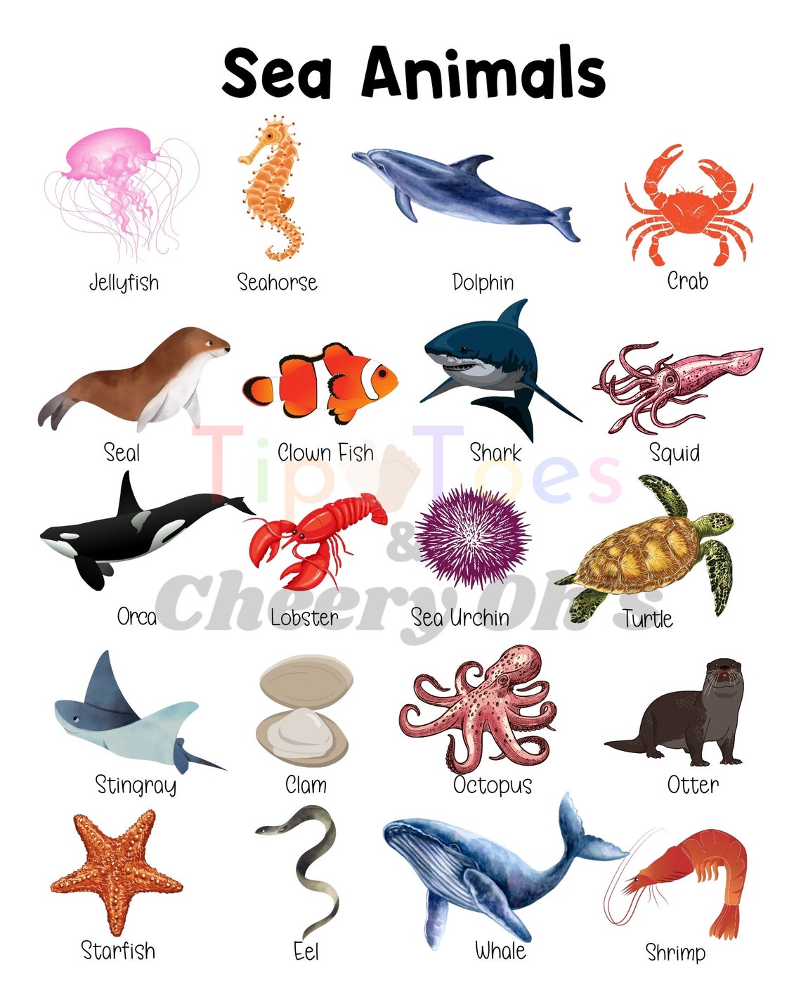 Sea Animal Poster Ocean Animals Science Homeschool - Etsy