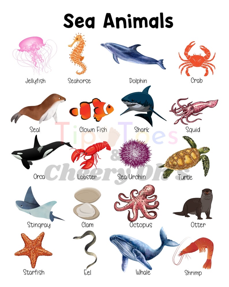 Sea Animals, Classroom Decor, Science, Homeschool Printable, Montessori ...