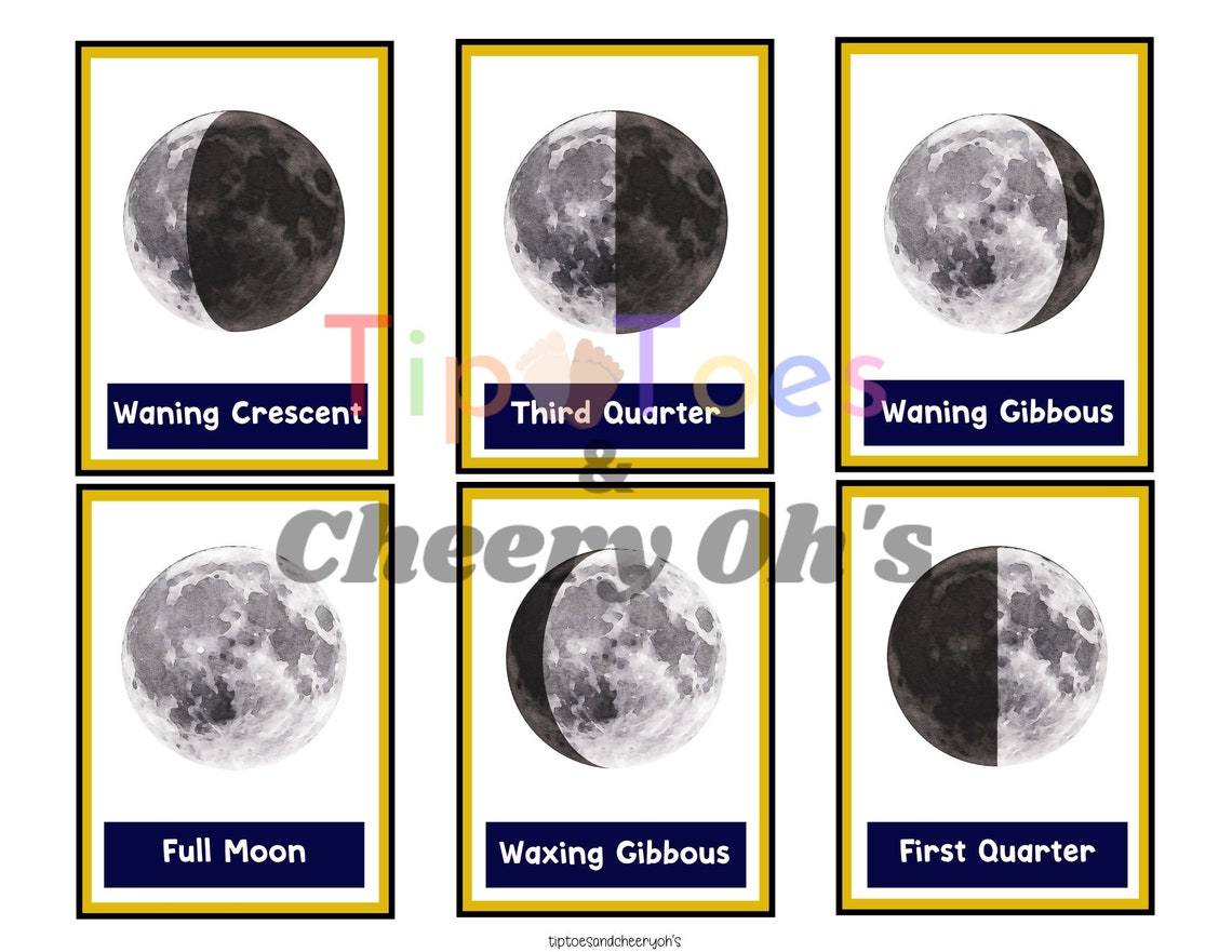 Phases of the Moon Bundle Science Activities for Kids Moon | Etsy