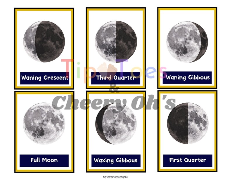 Phases of the Moon Bundle Science Activities for Kids Moon - Etsy