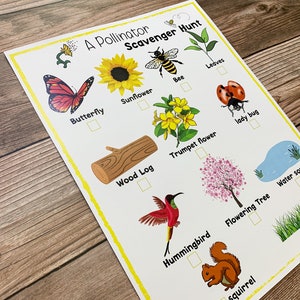 Spring Scavenger Hunt, Pollinator Scavenger Hunt, Scavenger Hunt ...