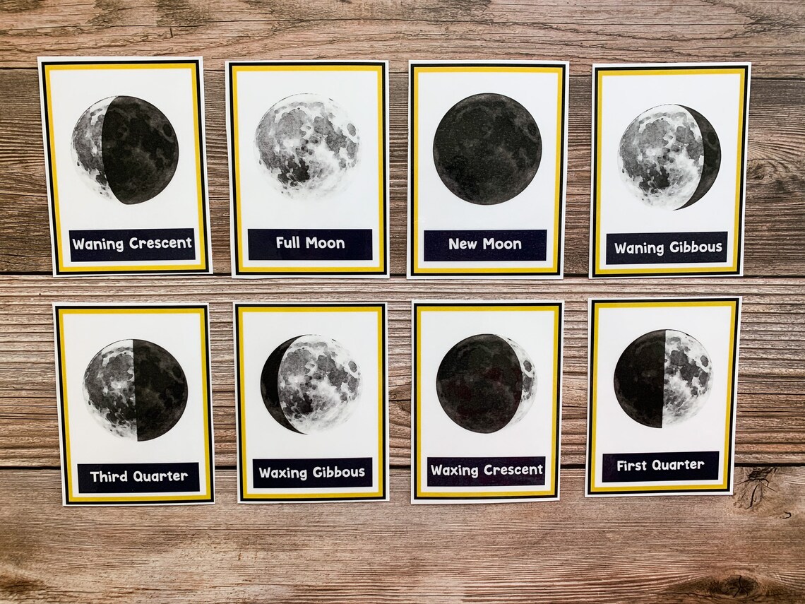 Phases of the Moon Bundle Science Activities for Kids Moon | Etsy