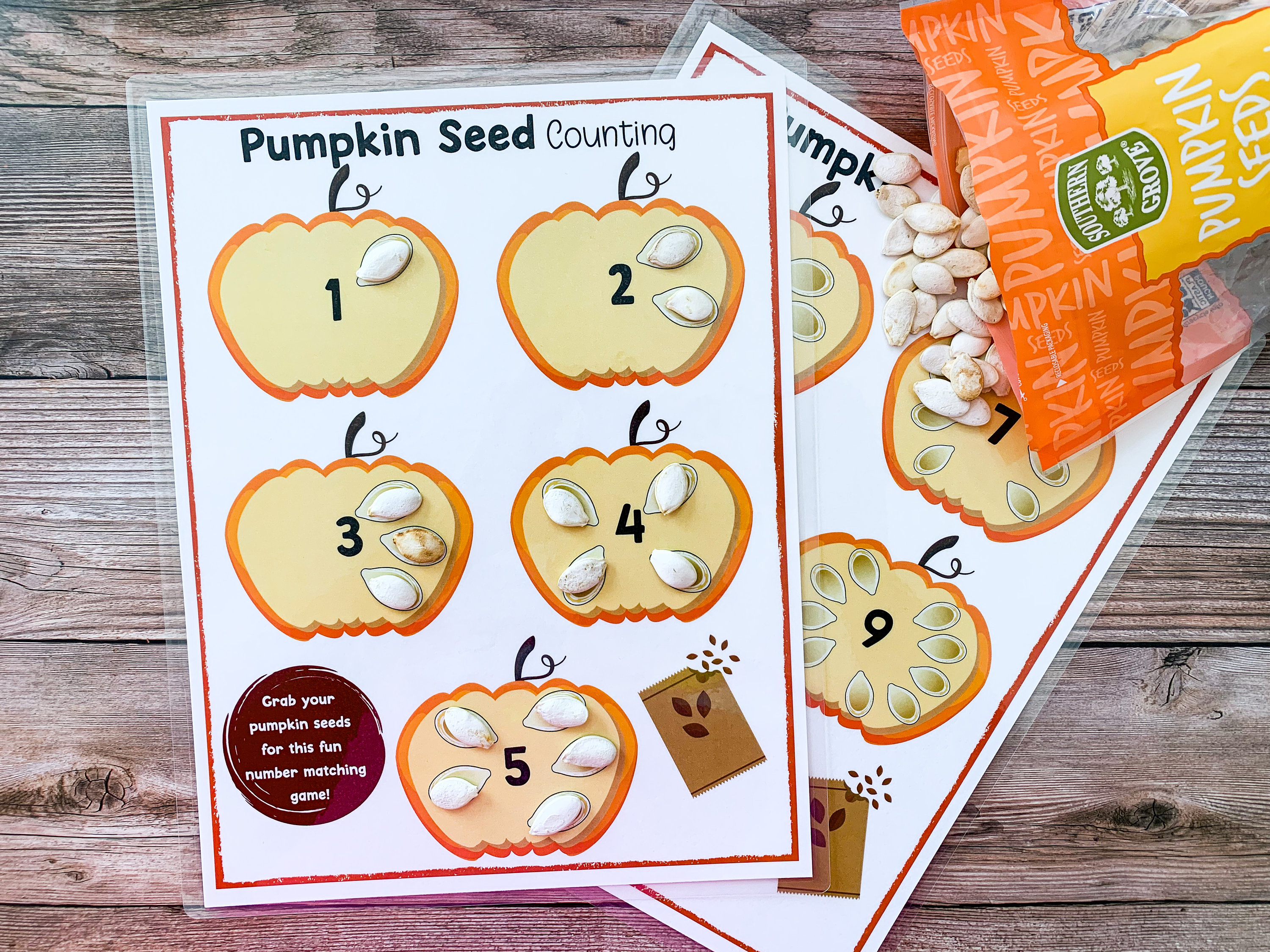 Kids Fall Activity Homeschool Printable Pumpkin Seed - Etsy