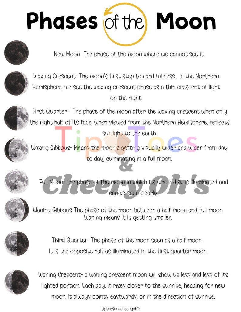 Phases of the Moon Bundle Science Activities for Kids Moon - Etsy