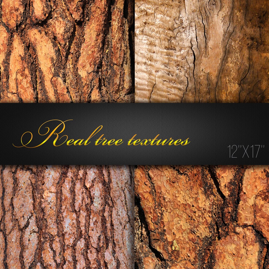 Digital Craft Paper / Real Tree Textures / Pack of 4 JPG Files 300dpi ...