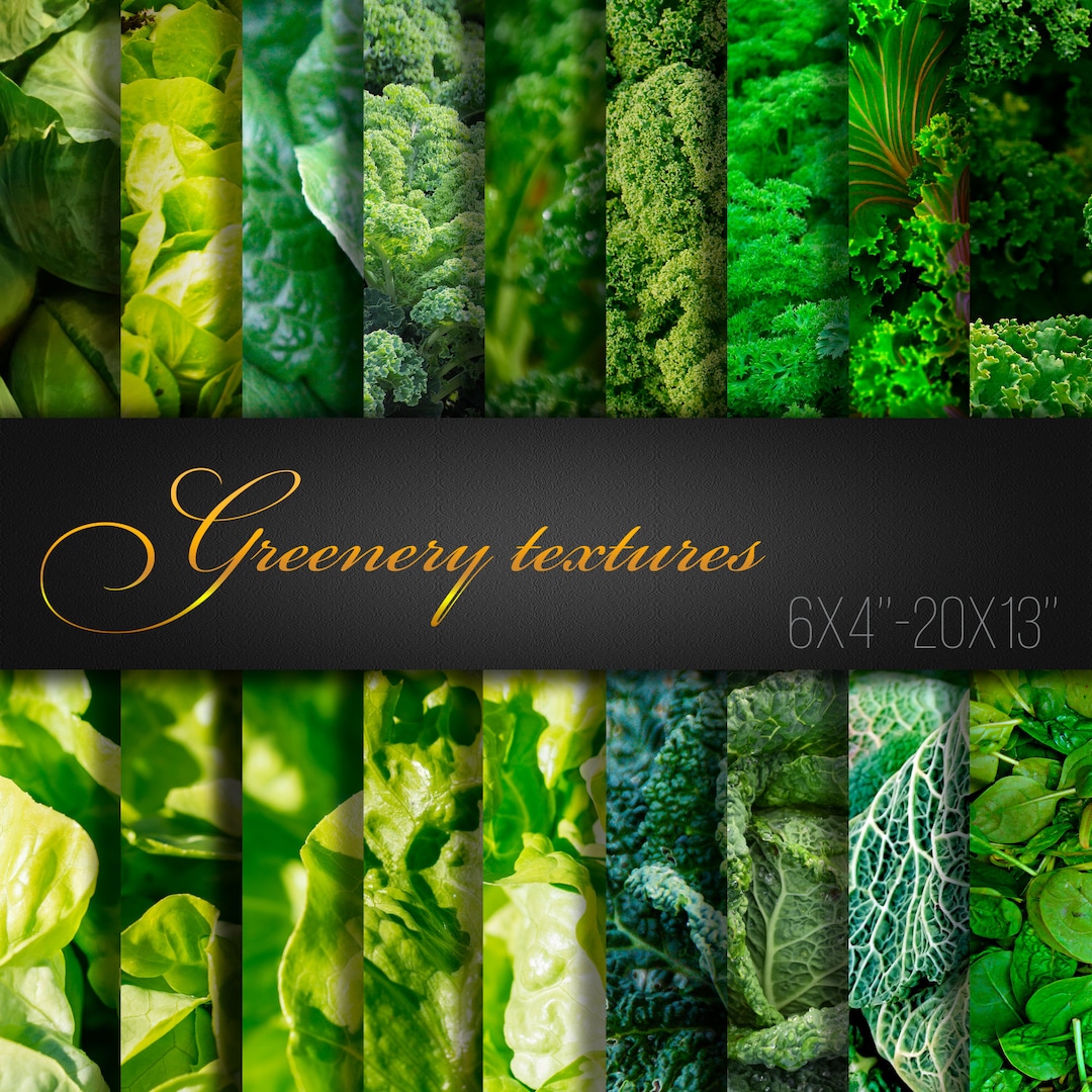 Greenery Textures / Greenery Digital Paper / Greenery Pack / Greenery ...