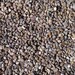 Stone Digital Paper / Natural Beach Pebbles Textures / Pack of - Etsy