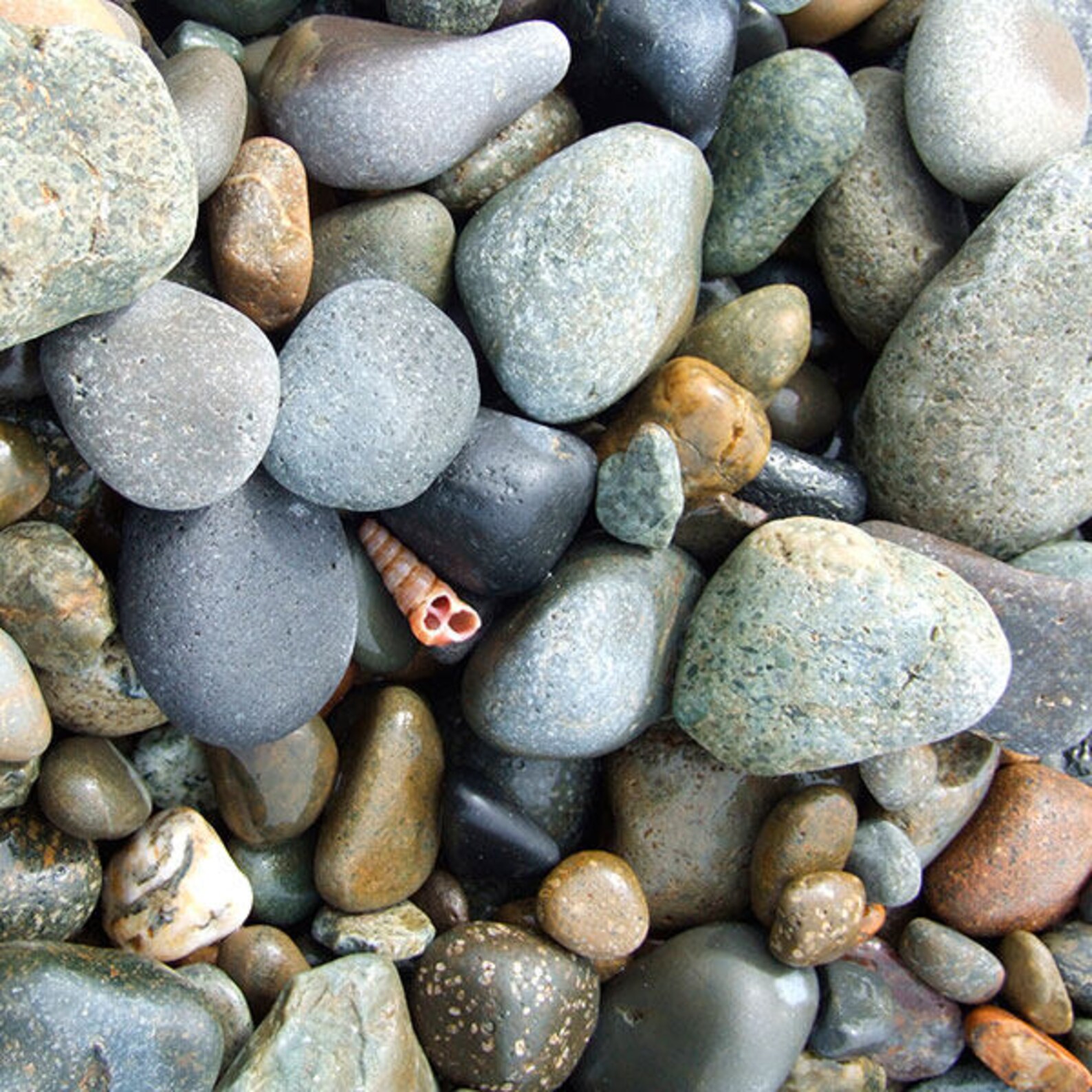 Stone Digital Paper / Natural Beach Pebbles Textures / Pack of - Etsy