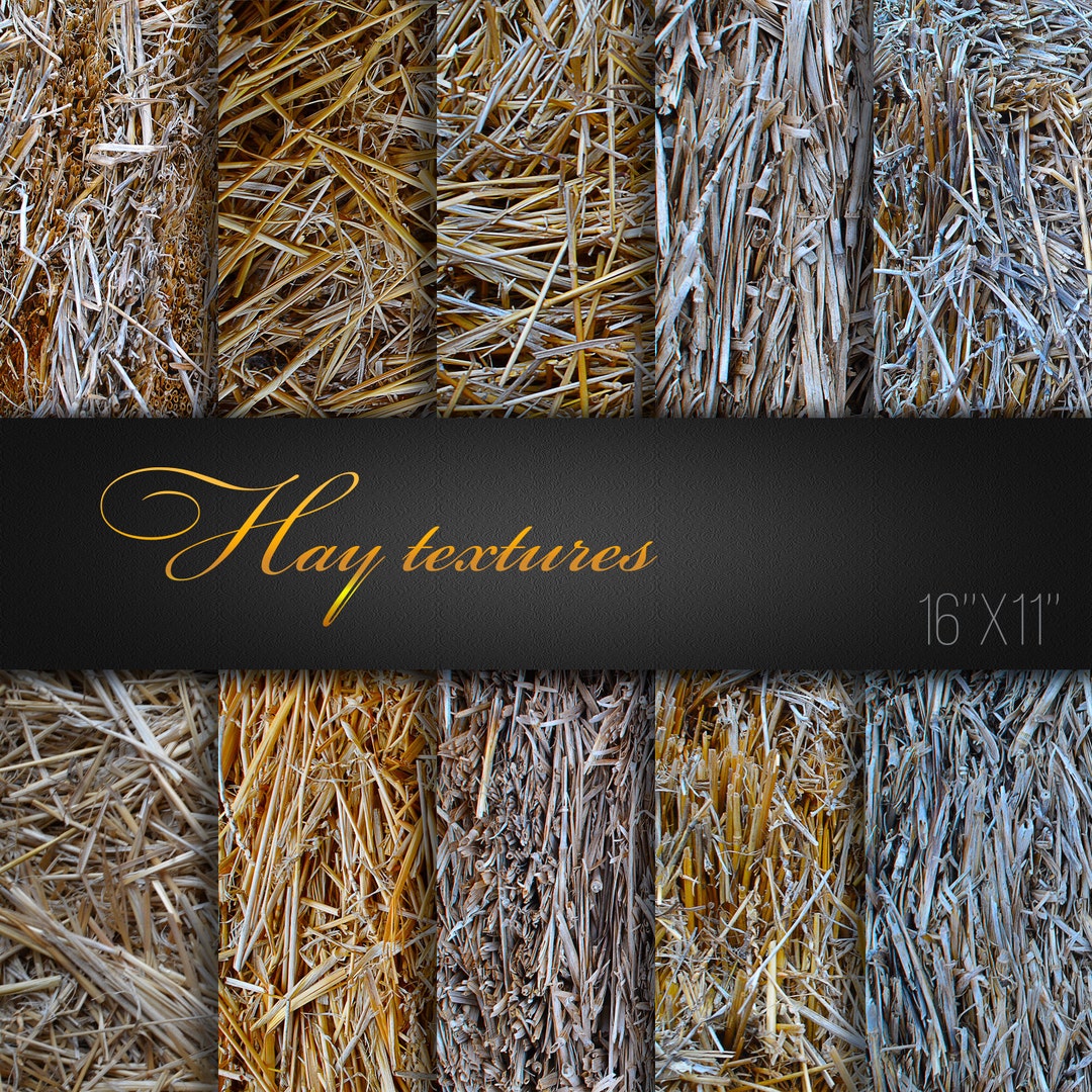 Digital Scrapbook Paper / Hay Textures / Pack of 10 JPG / Real Photo ...