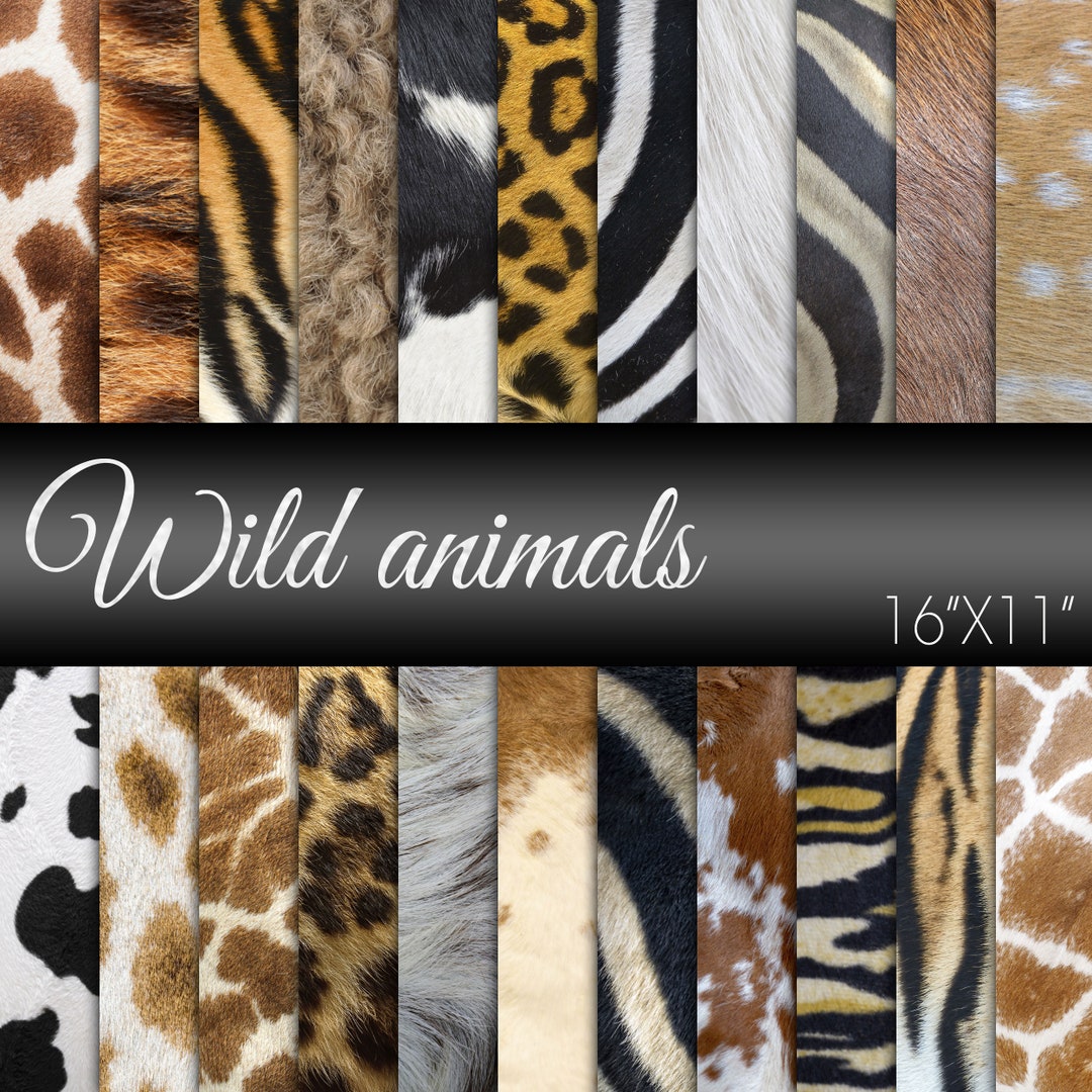 Wild Animals Skin, Animal Skin Digital Paper, Tiger, Lion, Zebra ...