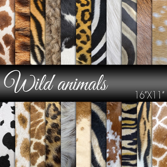 Wild Animals Skin Animal Skin Digital Paper Tiger Lion | Etsy