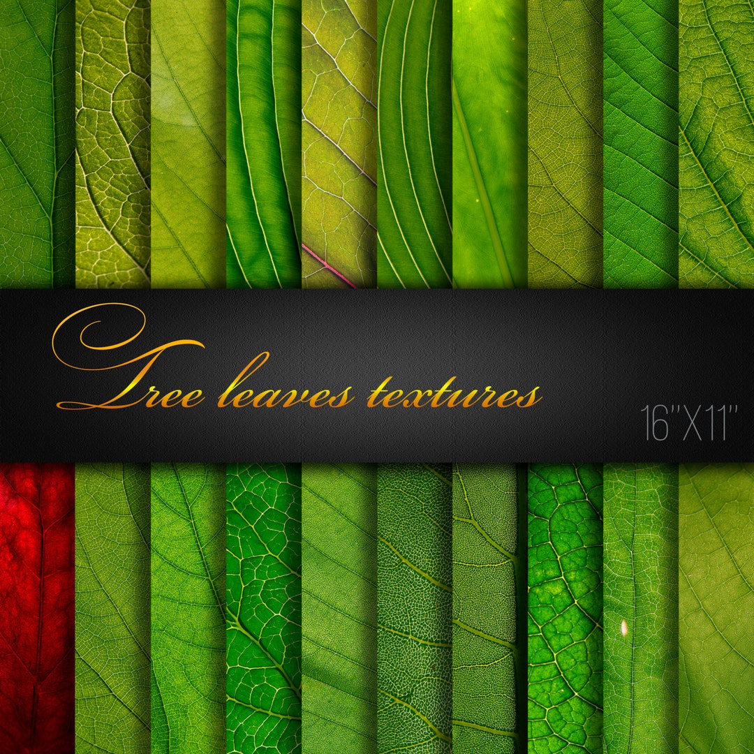 Tree Leaves Textures / Leaves Paper Pack / Leaves Scrapbook Paper ...