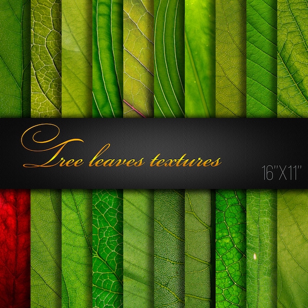 Tree Scrapbook Paper - Etsy