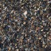 Stone Digital Paper / Natural Beach Pebbles Textures / Pack of 14 JPG ...