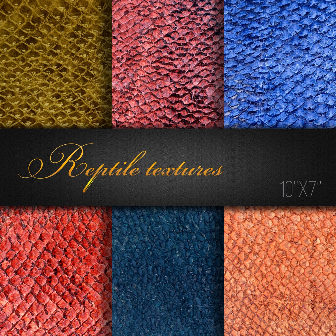 Scrapbooking Paper / Reptile Textures / Pack of 6 JPG Files 300dpi ...