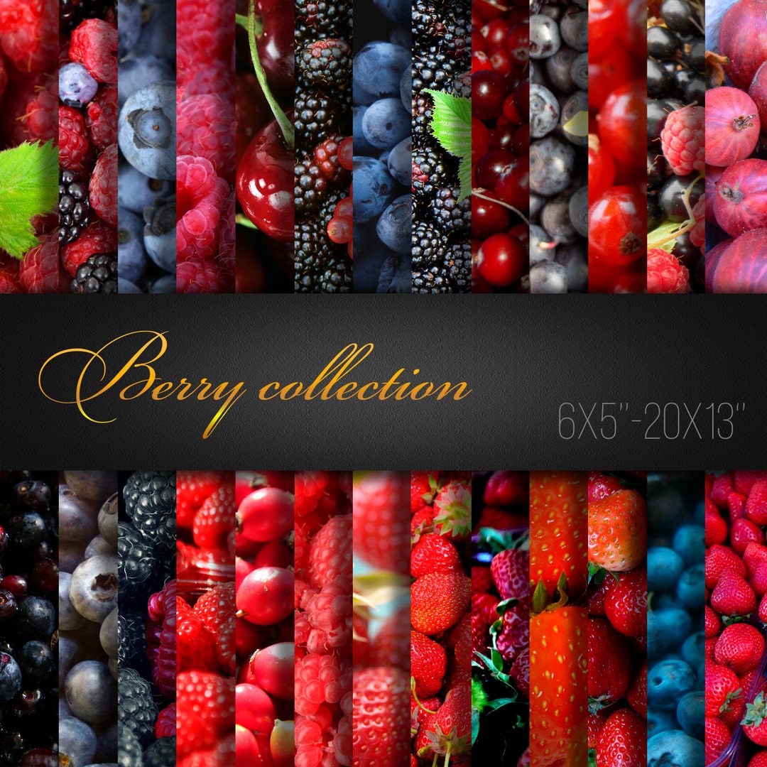 Berry Collection / Strawberry Blueberry Raspberry Blackberry / Paper ...