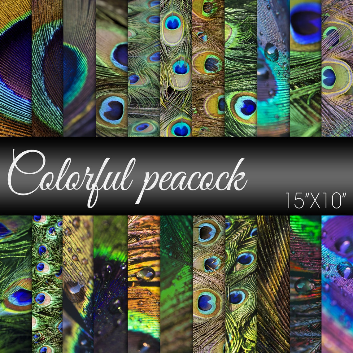 Colorful Peacock, Feather Digital Paper, Peacock Feathers, Feather ...