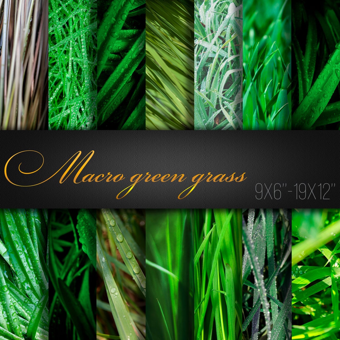 Macro Green Grass / Grass Paper Pack / Grass Scrapbook Paper / Green ...