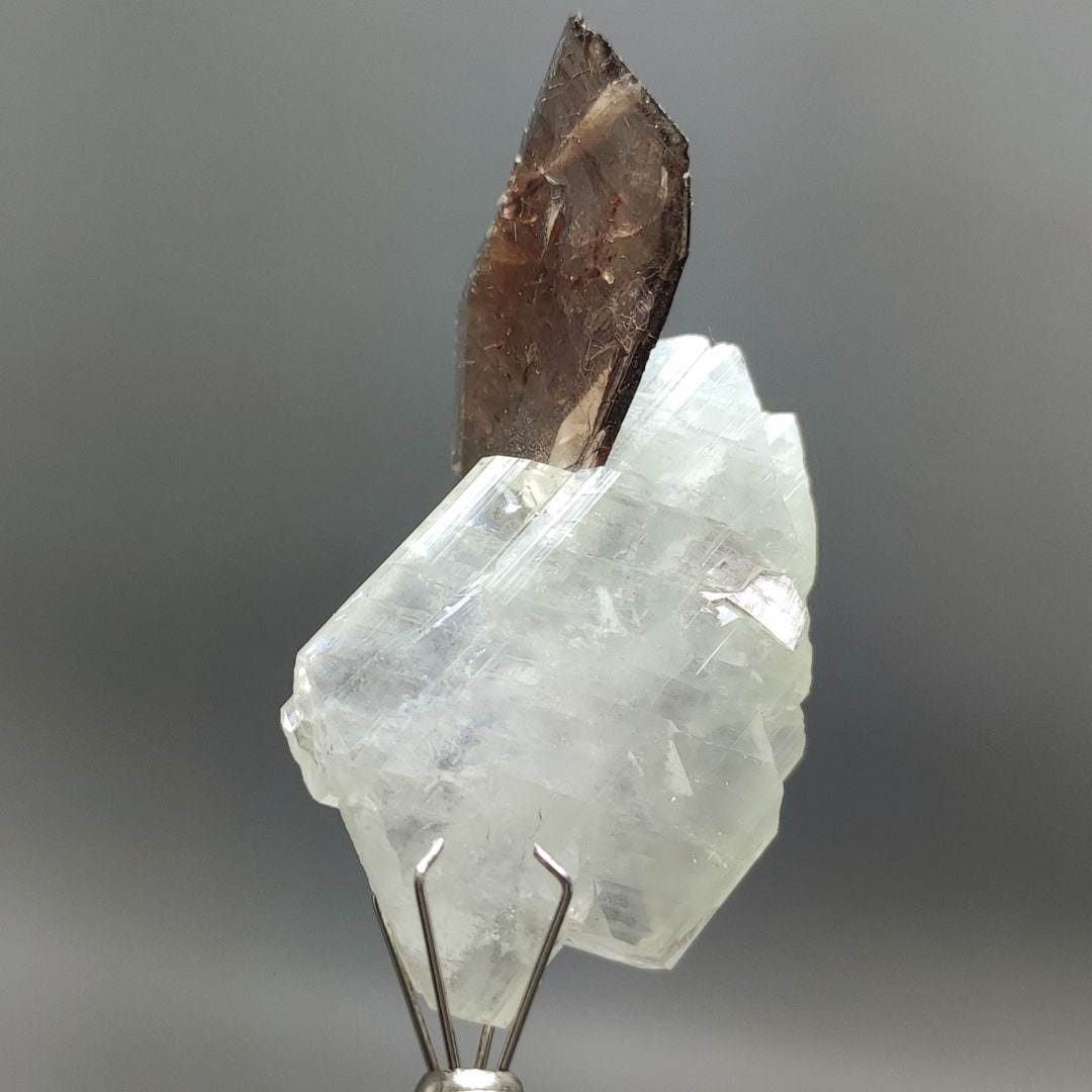 Natural Axinite Crystal on Matrix on Clear Albite With Pleochroic ...