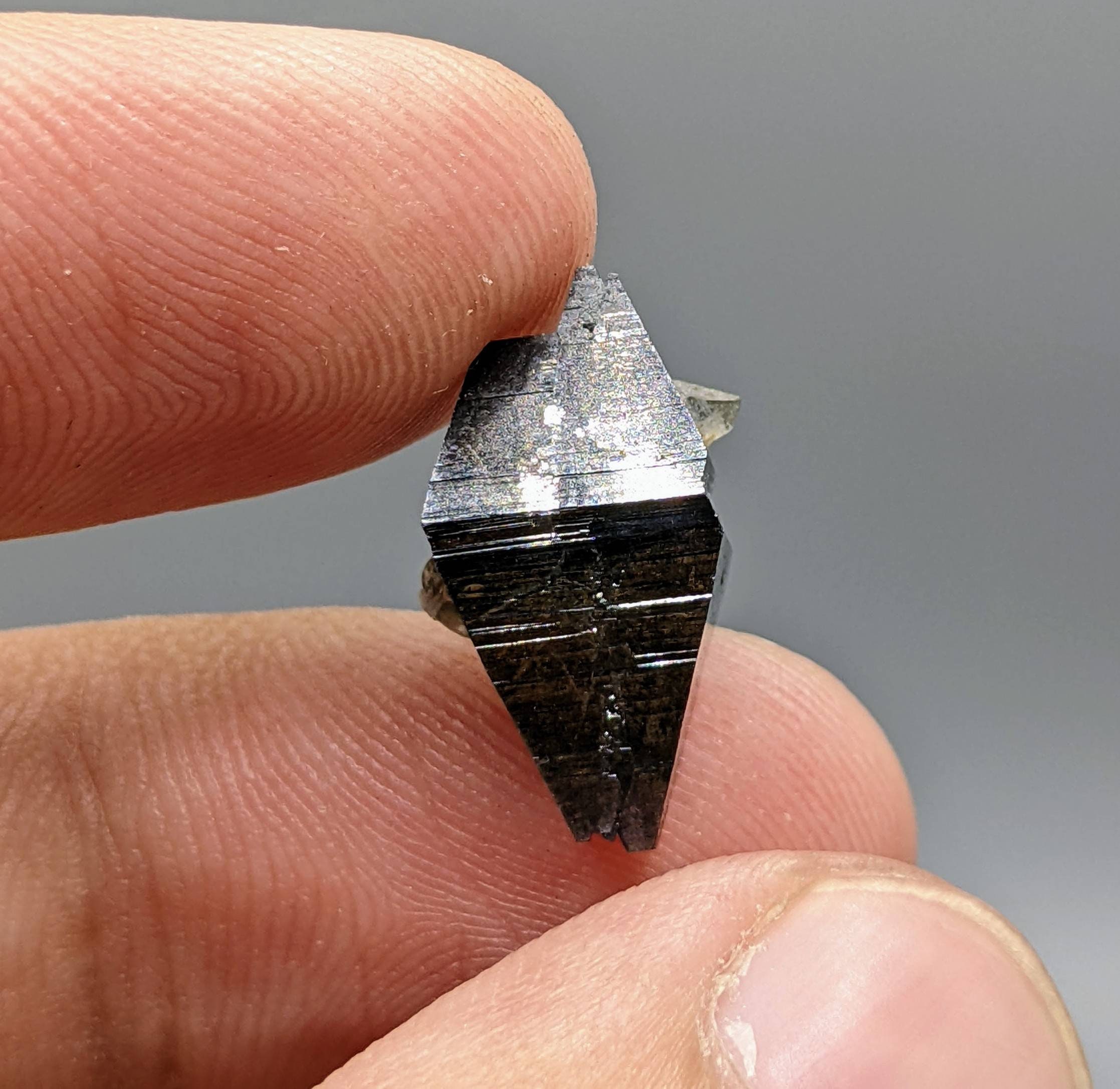 Rare Single Big Blue on Top Edge Anatas Crystal Partially - Etsy