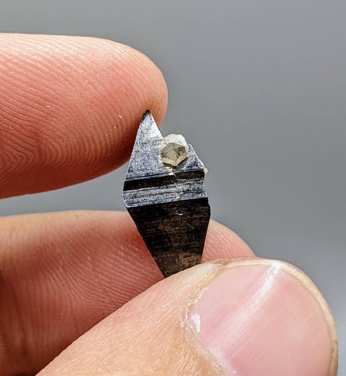 Rare Blue Edge Anatase Crystal With Quartz Balochistan Pakistan Etsy