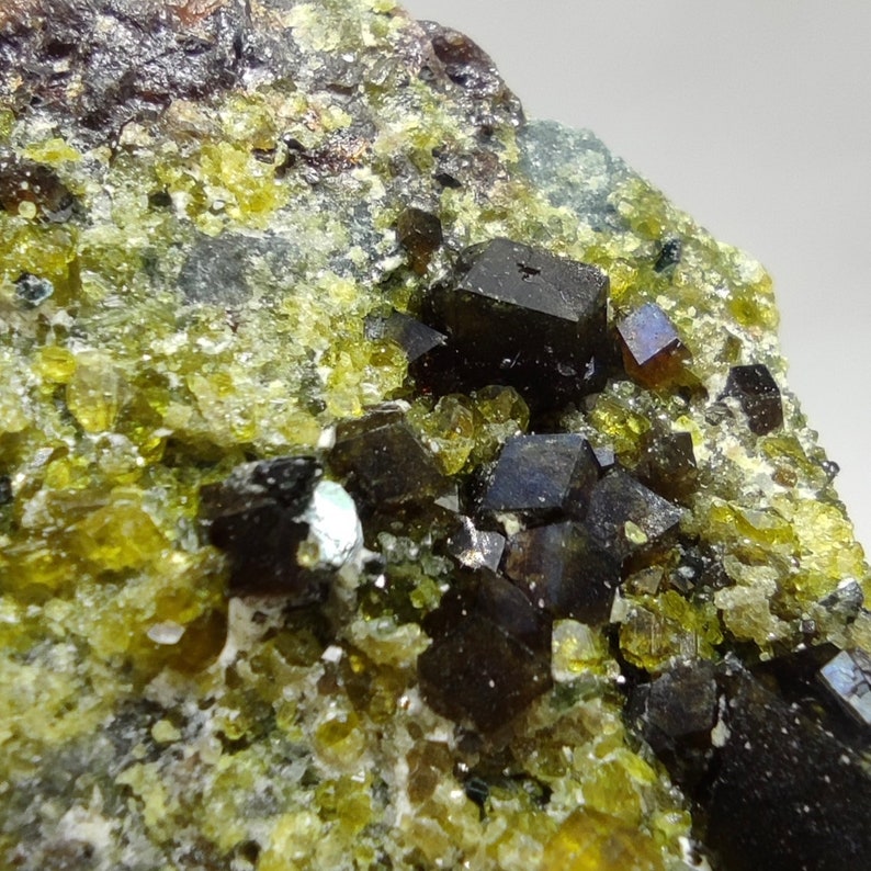 Andradite Garnet on Matrix With Green Epidote and Clinochlore Mica From ...