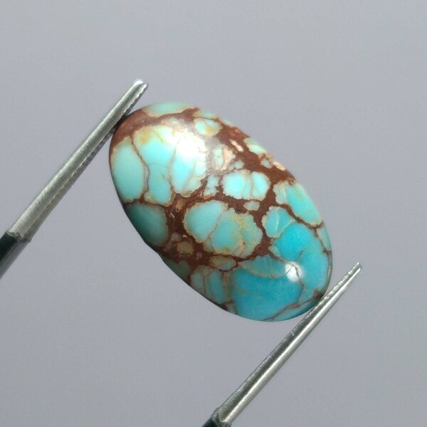 Spider Web Turquoise - Etsy