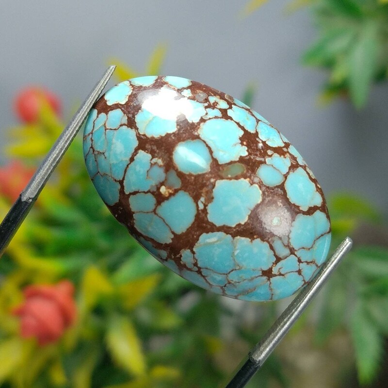 Spider Web Turquoise - Etsy
