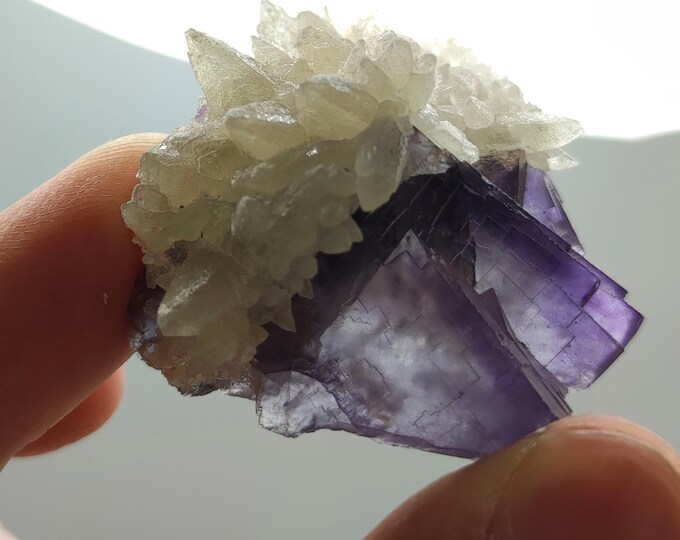 Natural Aesthetic Flower of Dogtooth Calcite on Matrix on Purple Cubic ...