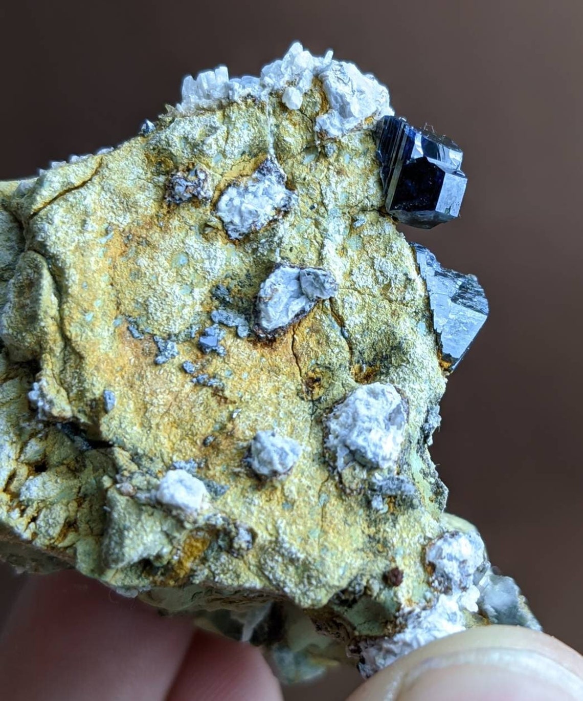 Rare on Matrix Anatas Crystals With Chlorine Quartz Specimen - Etsy
