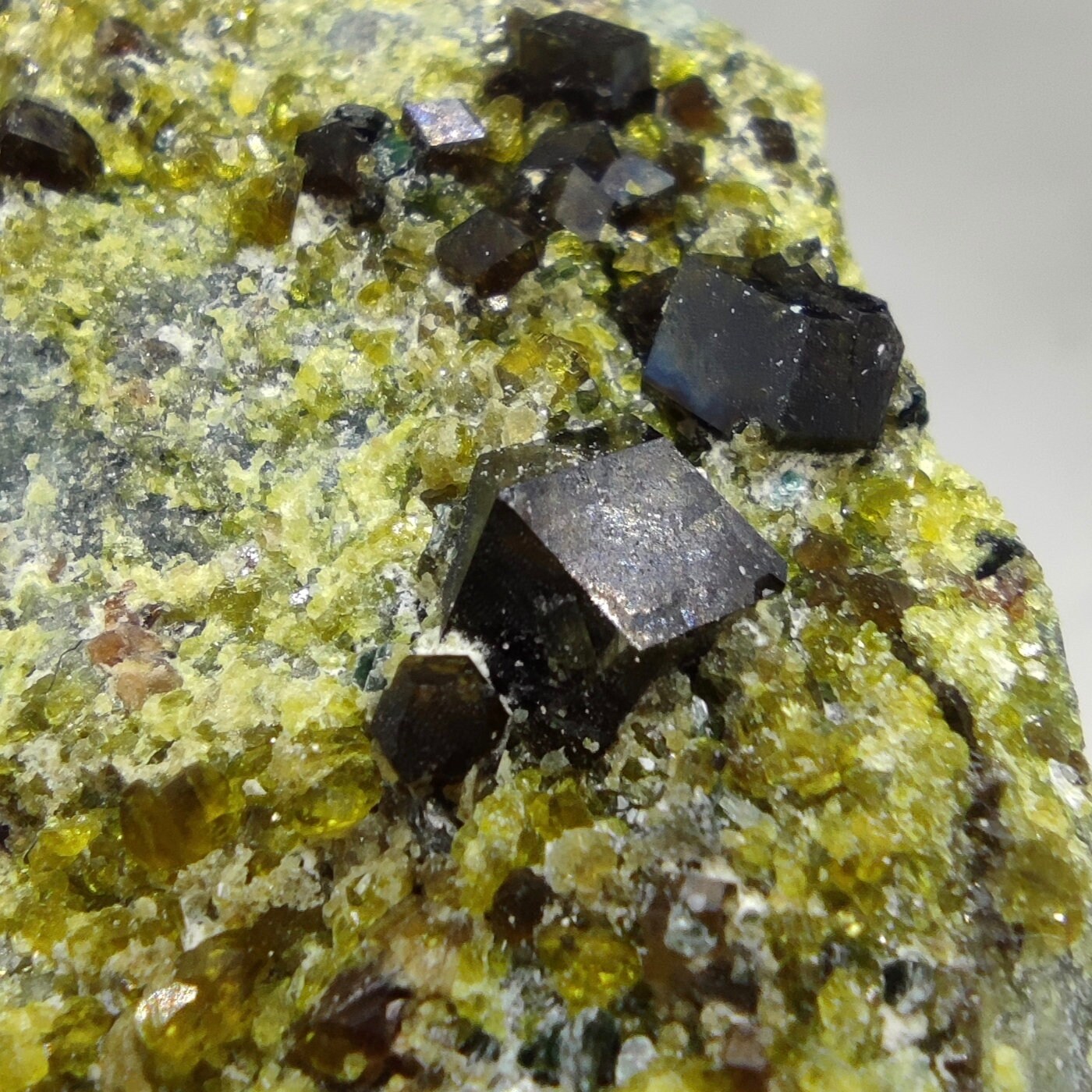 Andradite Garnet on Matrix With Green Epidote and Clinochlore Mica From ...