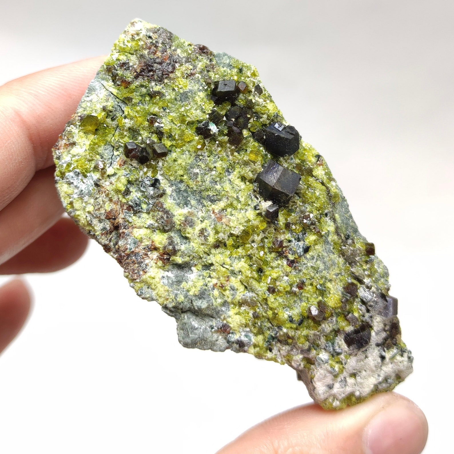 Andradite Garnet on Matrix With Green Epidote and Clinochlore Mica From ...