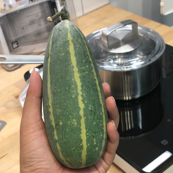 Fake Cucumber - Etsy
