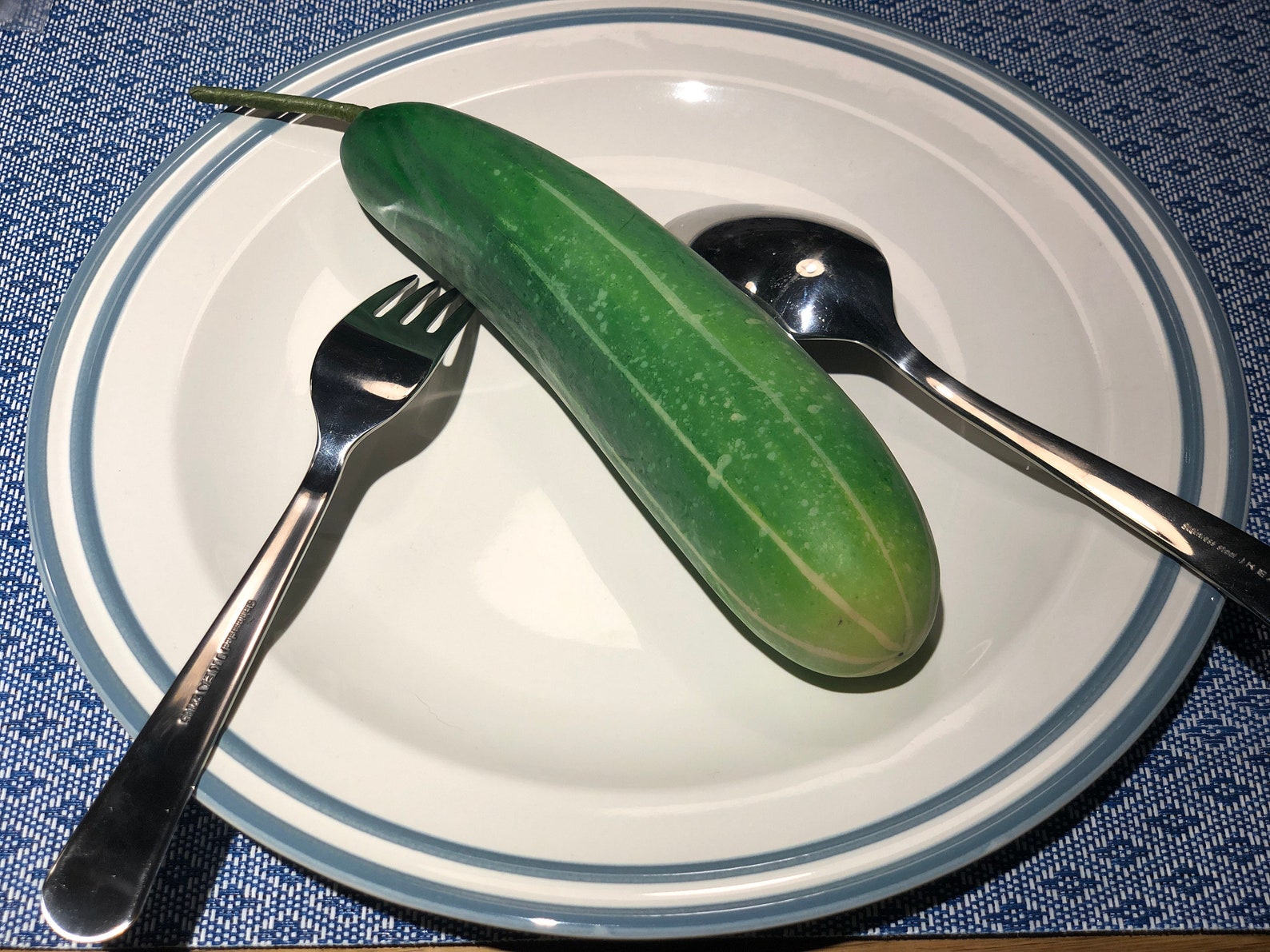 Artificial Cucumber Large Plastic Fake Vegetables Food Green Home Decor ...