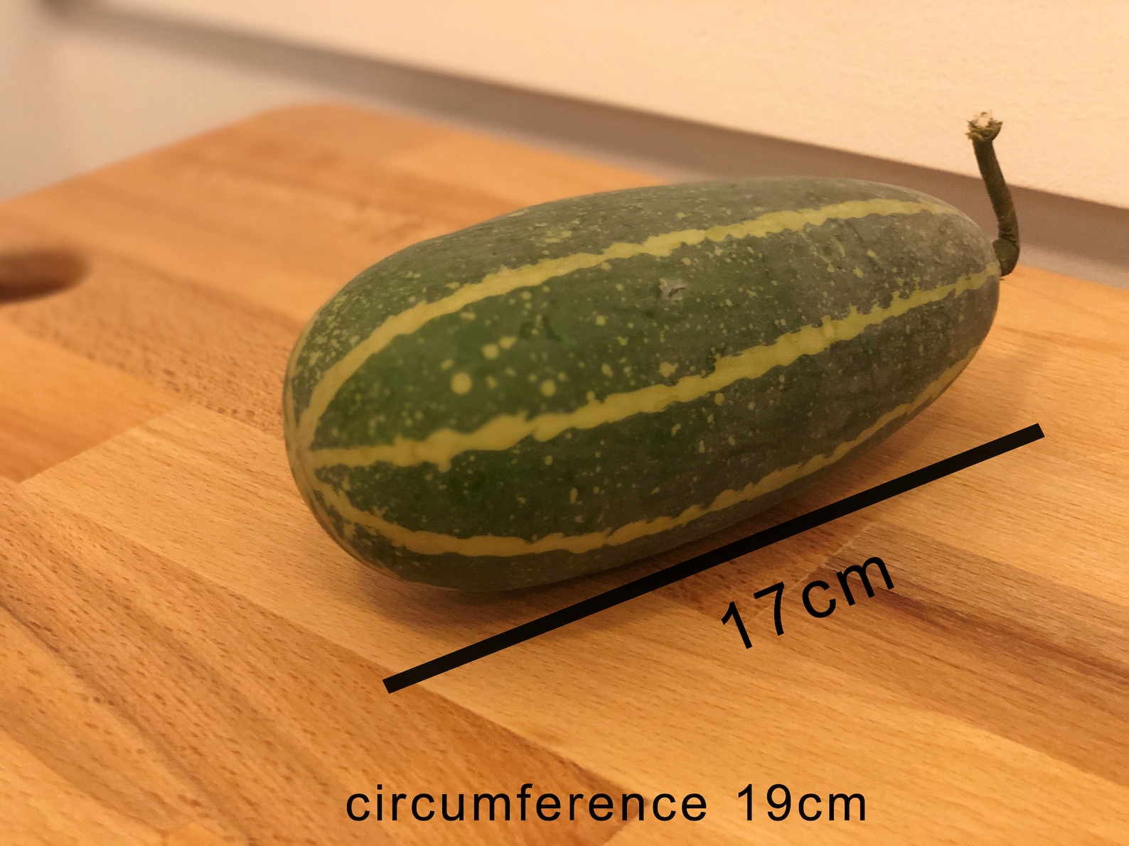 Fake Cucumber Large Plastic Fake Vegetables Food Green Home Decor Fake ...