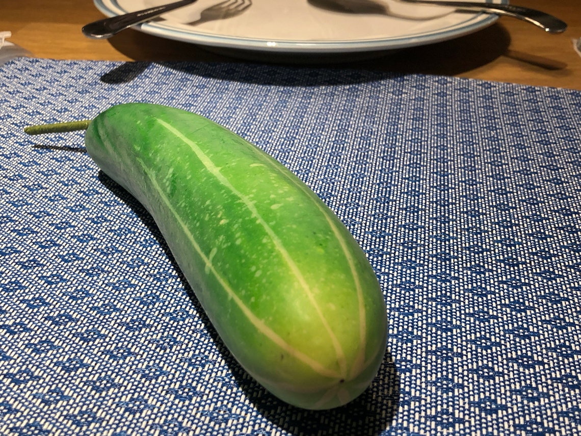 Artificial Cucumber Large Plastic Fake Vegetables Food Green Home Decor ...