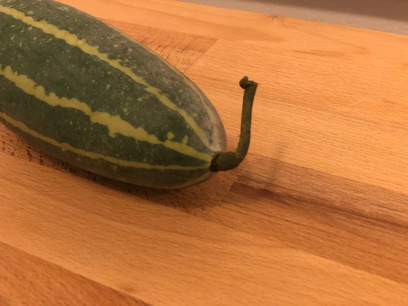 Fake Cucumber Large Plastic Fake Vegetables Food Green Home Decor Fake ...